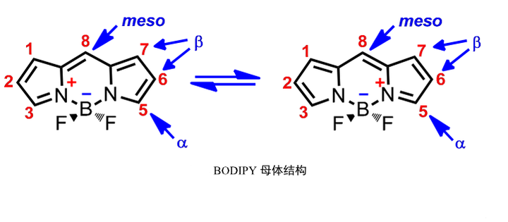 三个基于PET效应的BODIPY荧光探针BDP-R-Me、BDP-Me和 BDP-Ph的应用 - 知乎