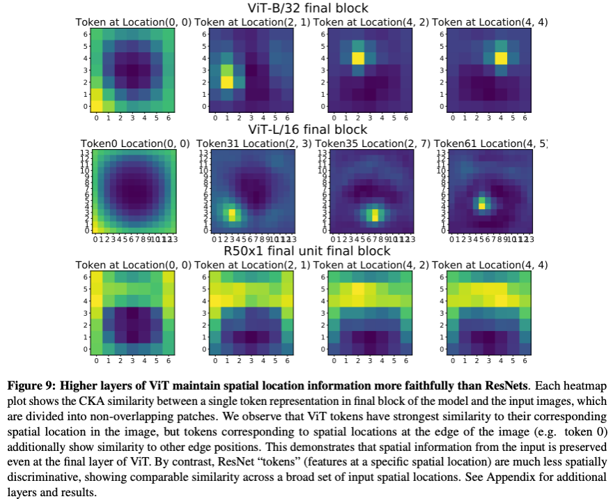 论文解释：Vision Transformers和CNN看到的特征是相同的吗？ - 知乎