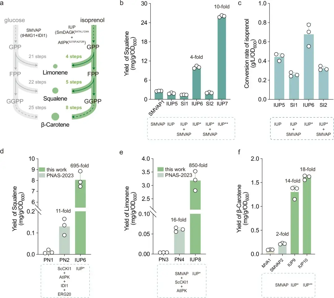 欣贝莱生物 | Nat. Commun.：利用IU途径实现萜类化合物高效合成 - 知乎