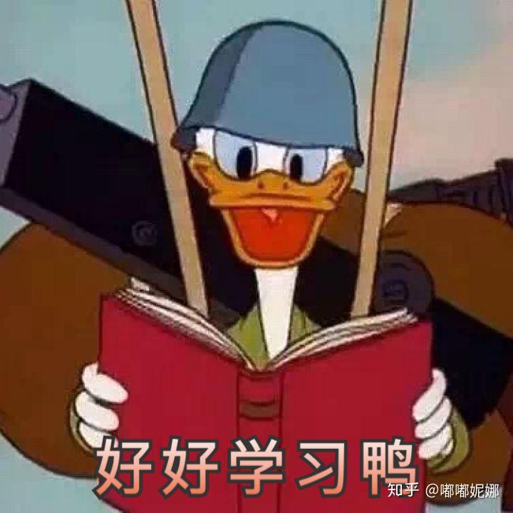 Python 04 函数 知乎 7776