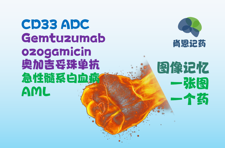 记住所有FDA生物药 | 靶CD33 ADC | Gemtuzumab ozogamicin 奥加吉妥珠单抗 | 急性髓系白血病 - 知乎
