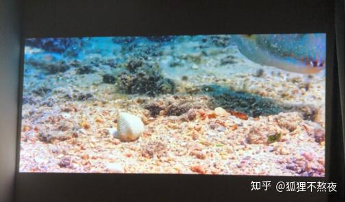 三千以内投影仪:当贝d3x，大眼橙x7d哪个更值得入手一些？