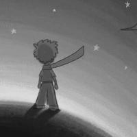 高效卷积运算 DSConv: Efficient Convolution Operator - 知乎