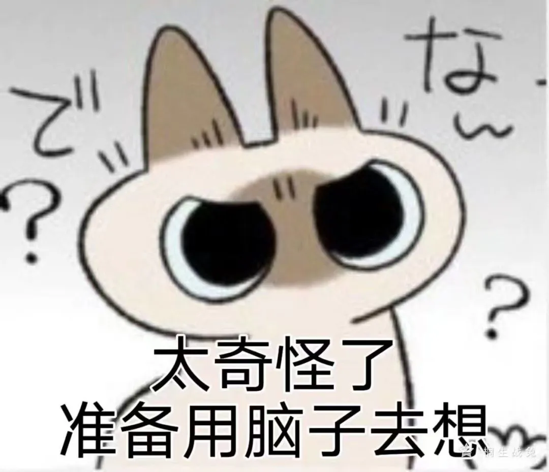 暹罗猫小豆泥表情包整理（侵删） 知乎