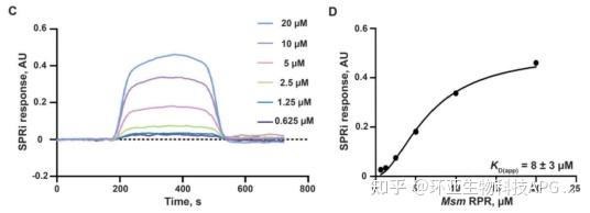 芯片点样仪联合SPRi实现RNA小分子药物的高通量分子互作筛选 - 知乎
