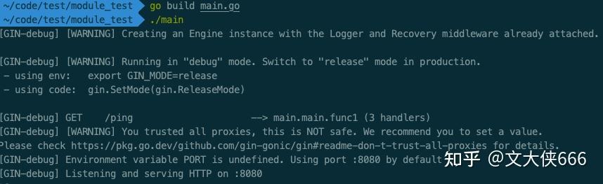 一图胜千言，golang Module【入门到精通】 - 知乎
