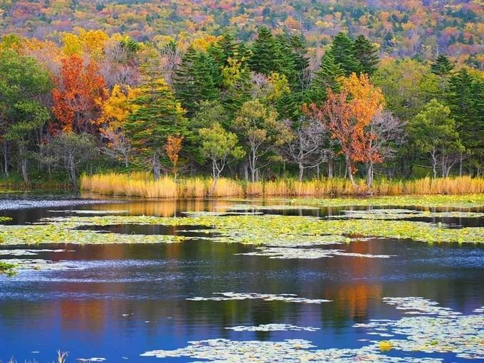 北海道道东||好多人去北海道，我去的是秘境 - 知乎