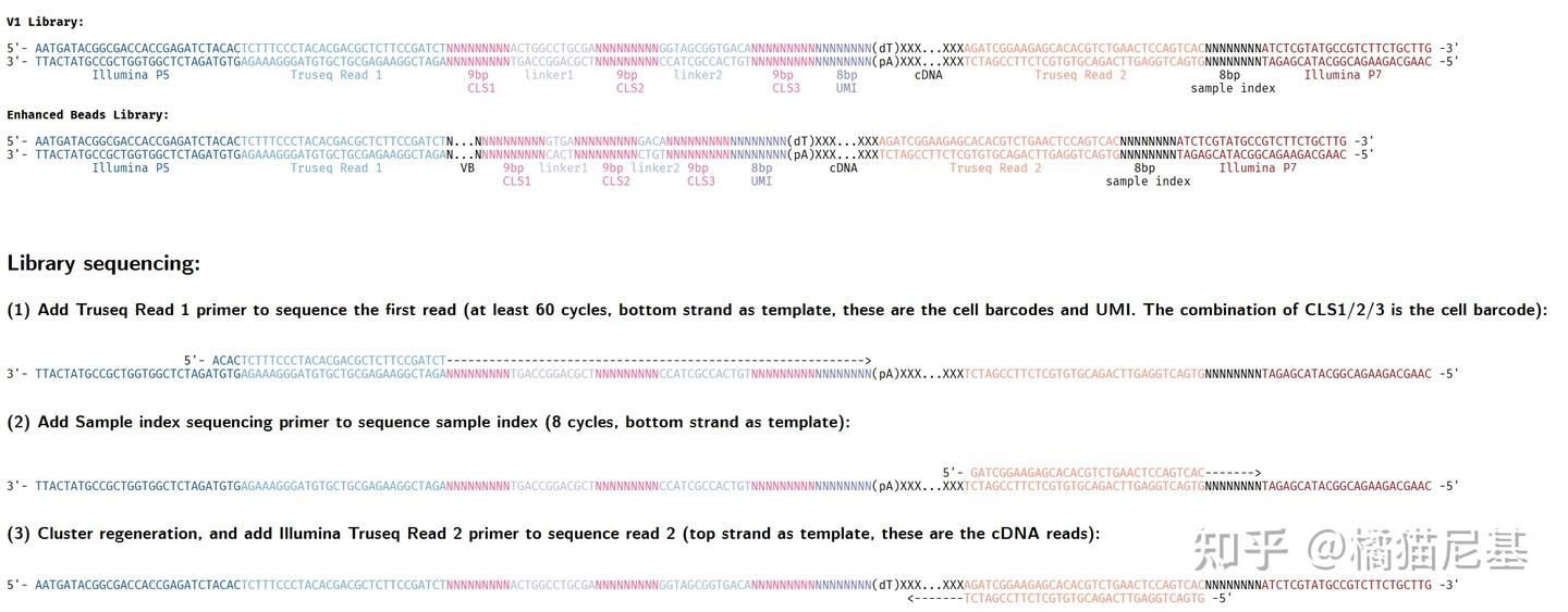 STARsolo处理BD数据 - 知乎