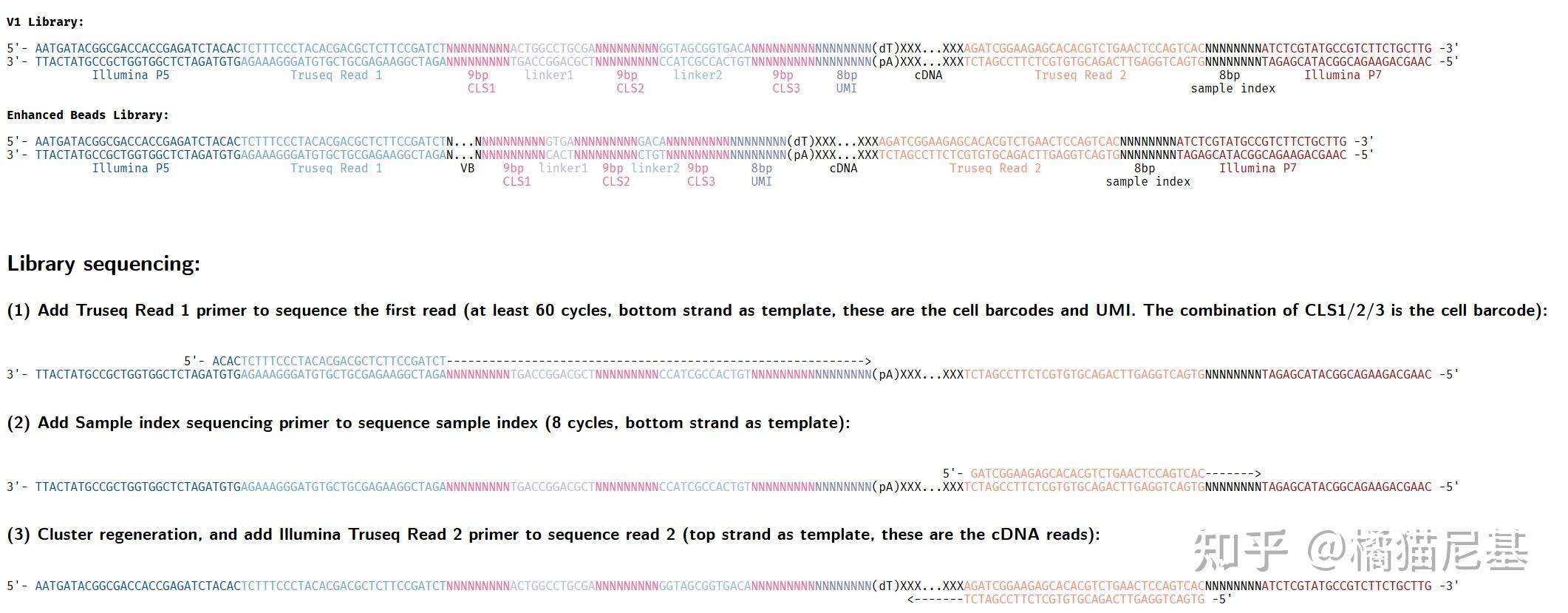 STARsolo处理BD数据 - 知乎