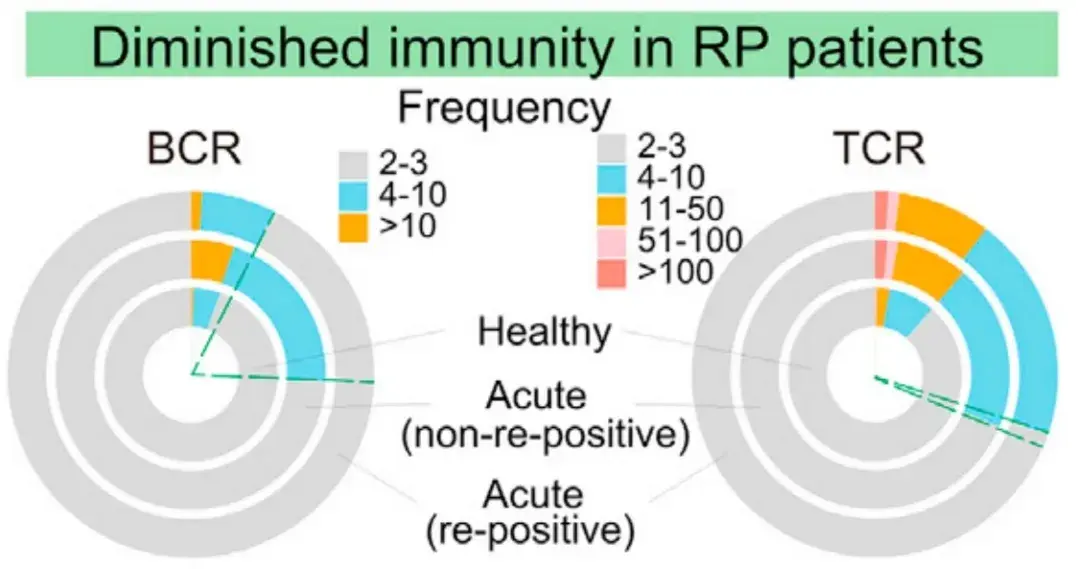 TCR/BCR-seq：免疫组库测序，解锁免疫密码，赋能精准医疗 - 知乎