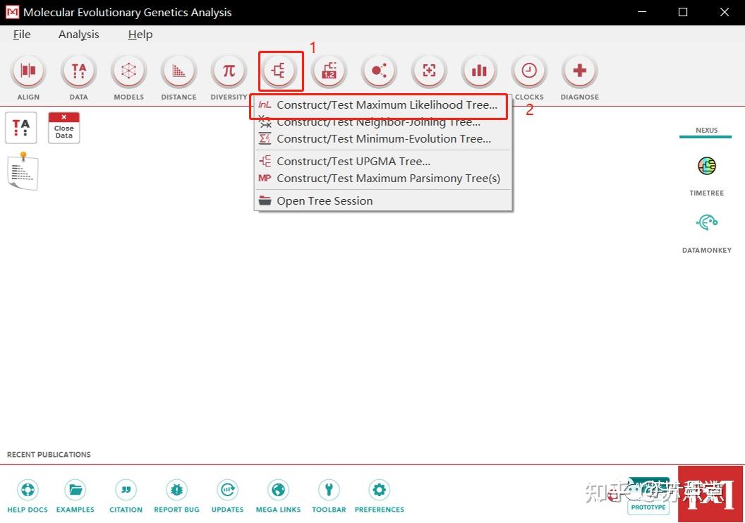 MEGA-X | 选择模型构建进化树（超慢的~） - 知乎