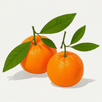 Tomato-Novel-Downloader – 番茄小说下载器 将小说保存为 EPUB或文本格式教程 - 知乎