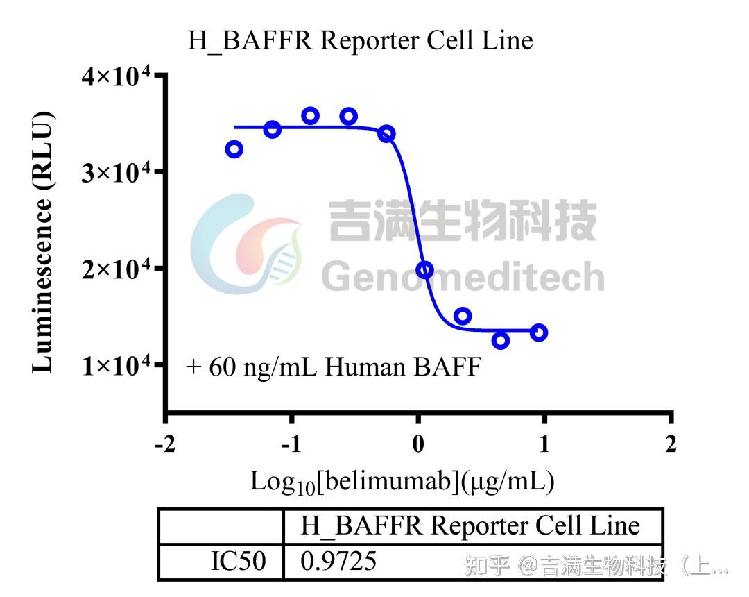 BAFF-APRIL系统：自免、肿瘤领域潜力无限 - 知乎
