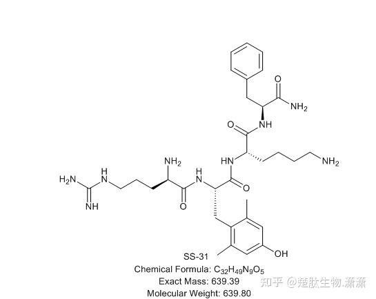 靶向肽；SS-31；Dynorphin A (1-10) - 知乎