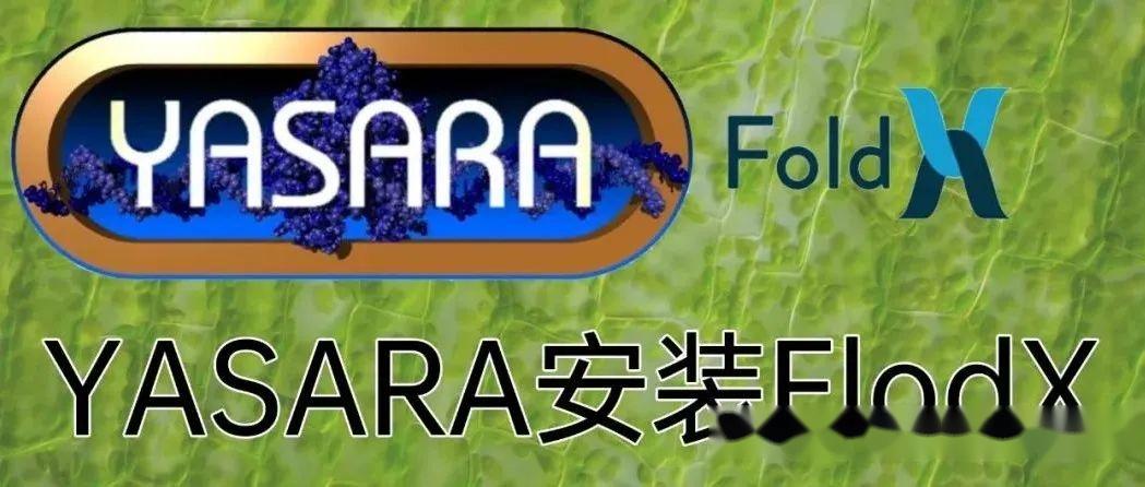 YASARA安装FoldX插件 - 知乎