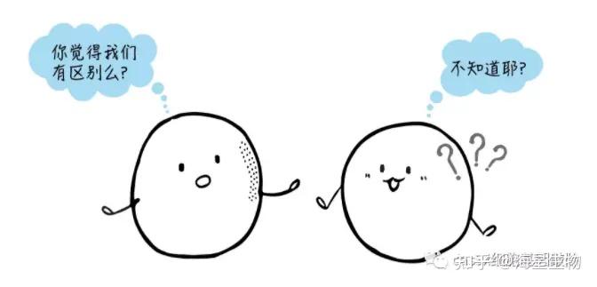 MEM、MEM-EBSS、MEMα 如何区分？？？ - 知乎