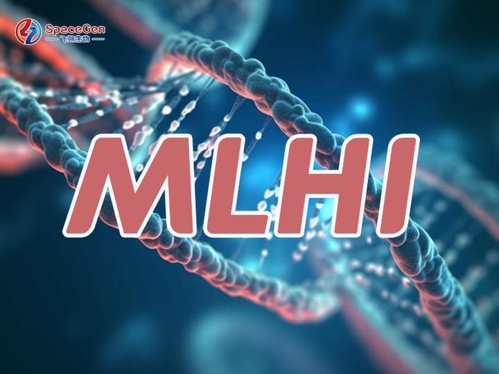 组成性MLH1基因表观突变 - 知乎