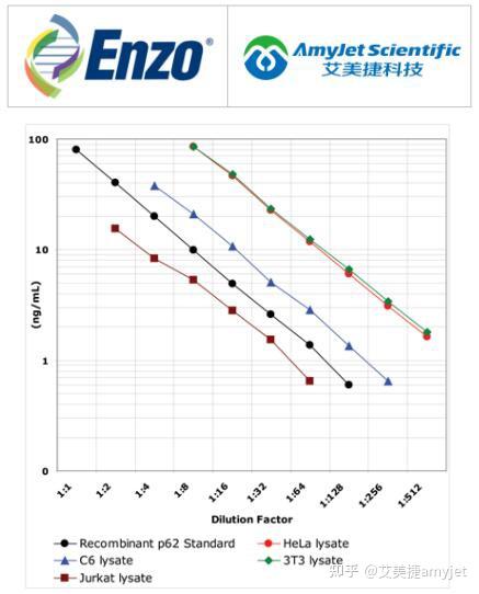 Enzo Life Sciences 艾美捷p62 ELISA 试剂盒说明书 - 知乎