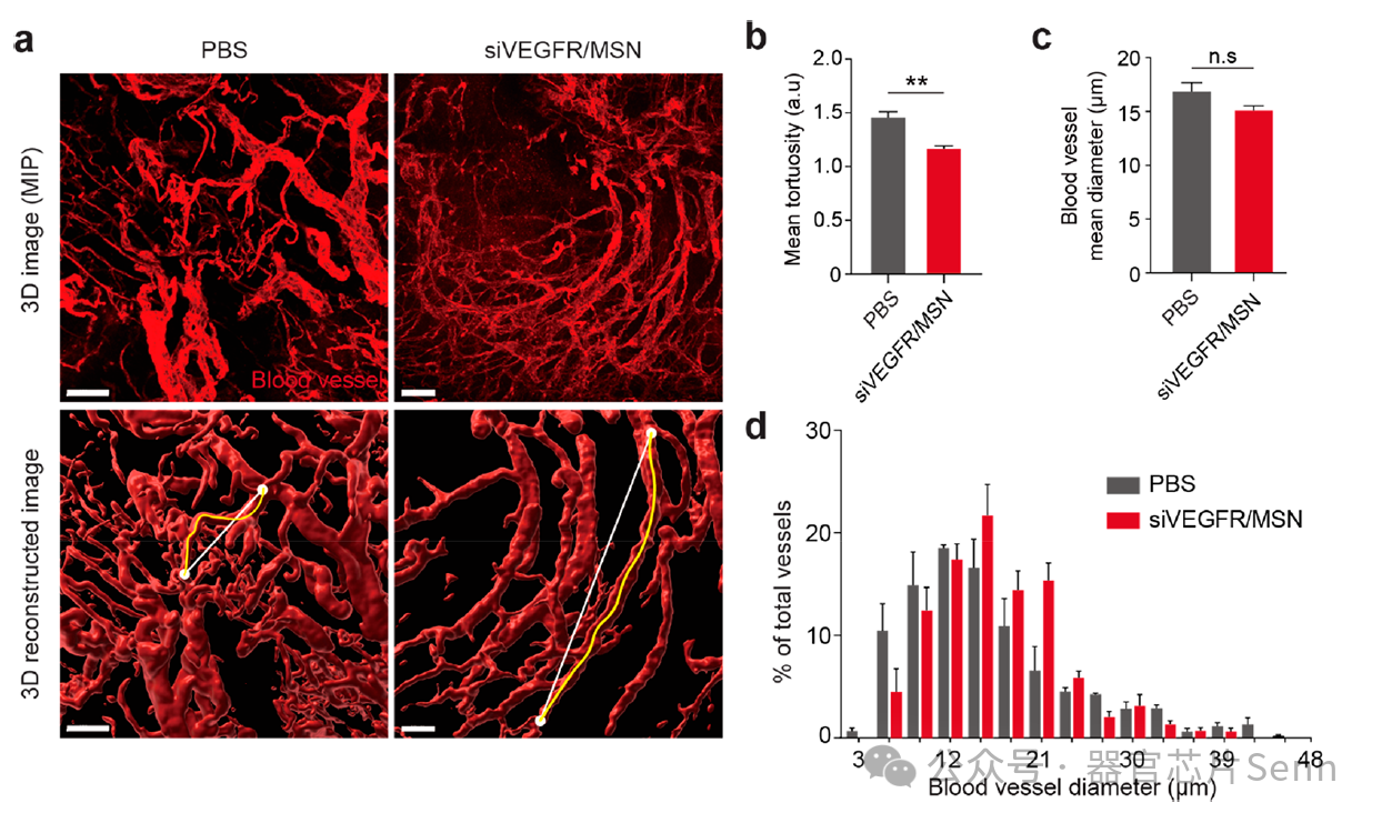 如何检验或验证RNAi效果？ - 知乎