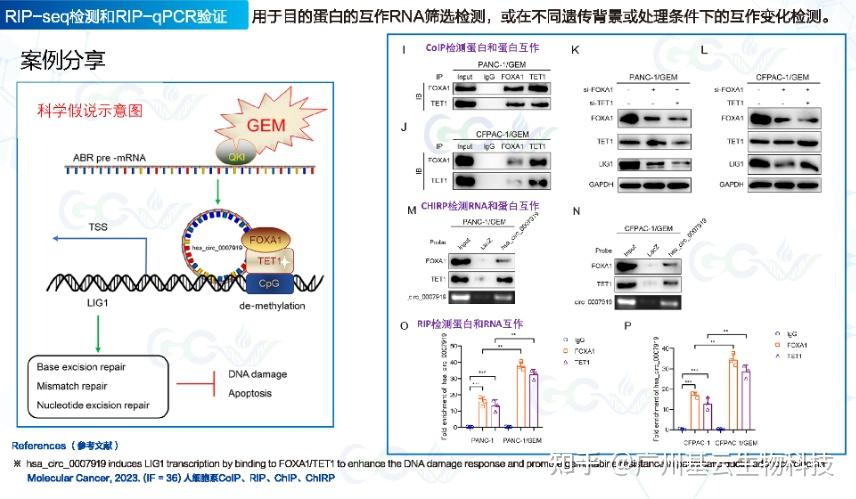 RIP-Seq/qPCR检测验证案例验证要点 - 知乎
