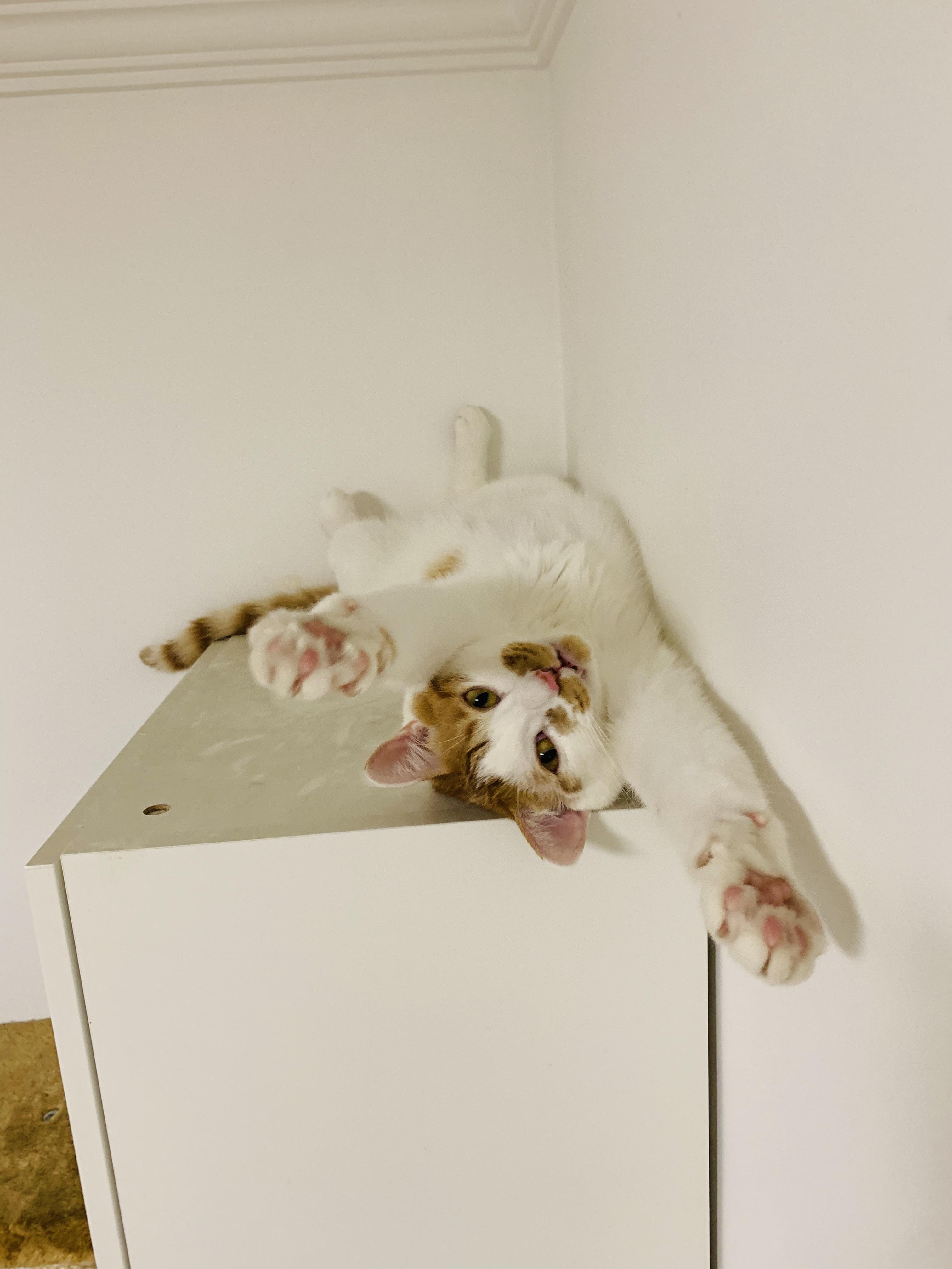 使用ResQC估计RNA-seq中的rRNA量 - 知乎