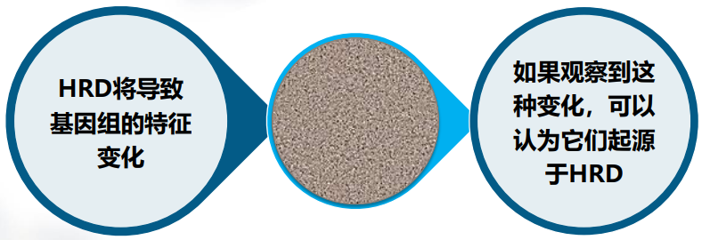 干货满满 | 傻傻分不清楚HRR、HRD、GS到底是什么关系？ - 知乎