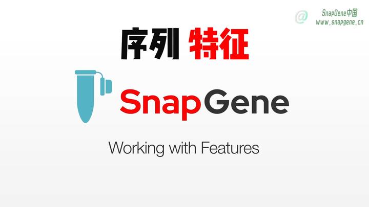 SnapGene 特征 - 知乎