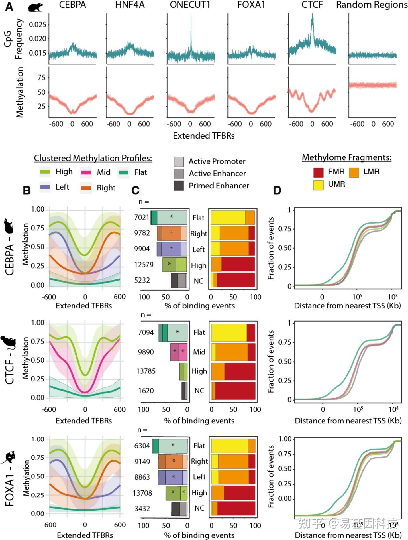 ChIP-seq+WGBS分析揭示转录因子结合区DNA甲基化表征其功能和进化背景 - 知乎