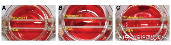 PGA Biofelt植入级无纺布用于血管组织工程的新型可生物降解聚合物支架的开发 - 知乎