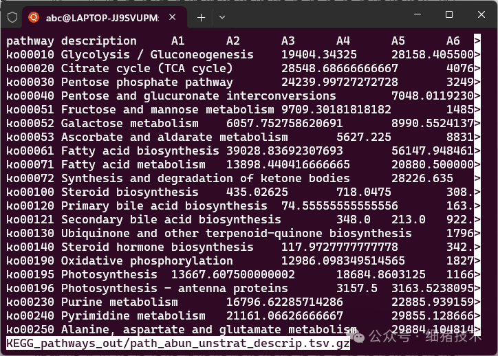 PICRUSt2标准分步分析流程实操 - 知乎