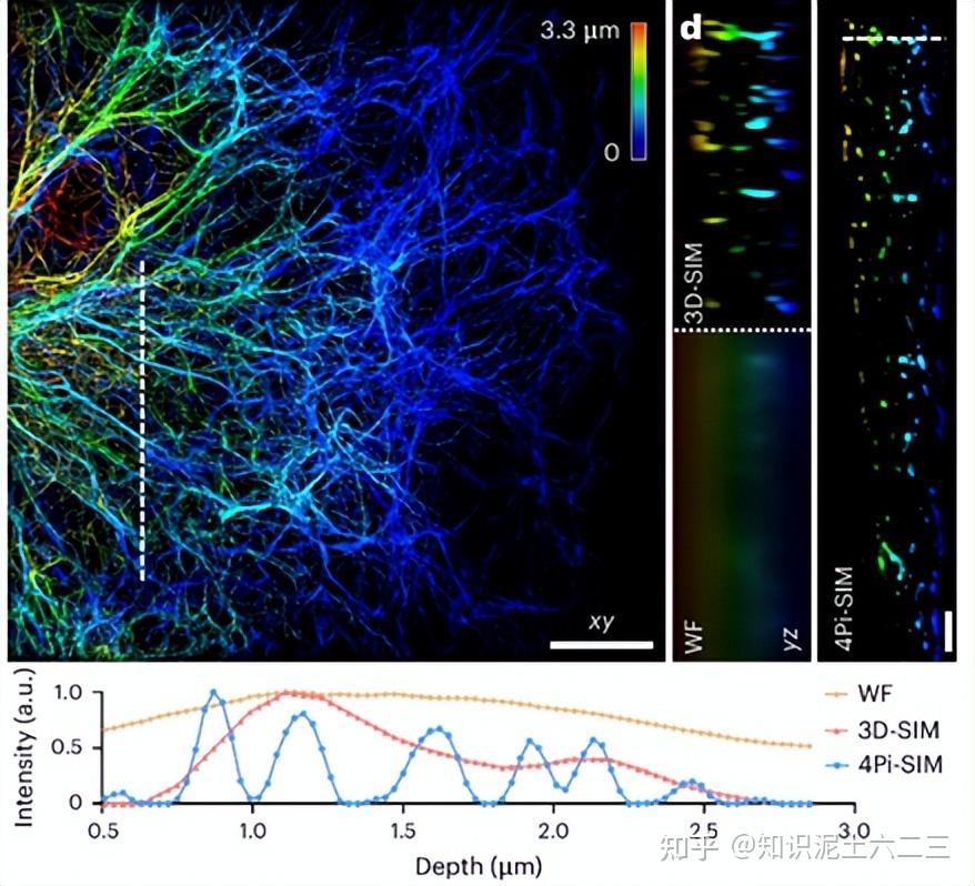 细胞成像的超级“放大镜”——4Pi-SIM - 知乎