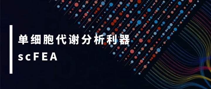 单细胞代谢分析利器——scFEA - 知乎