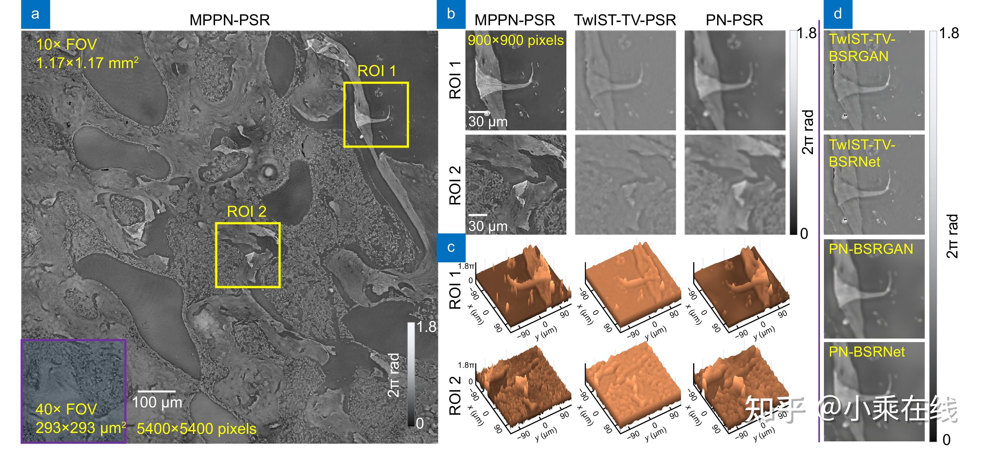 Multi-prior physics-enhanced neural network enables pixel super-resolution and twin-image-free ...