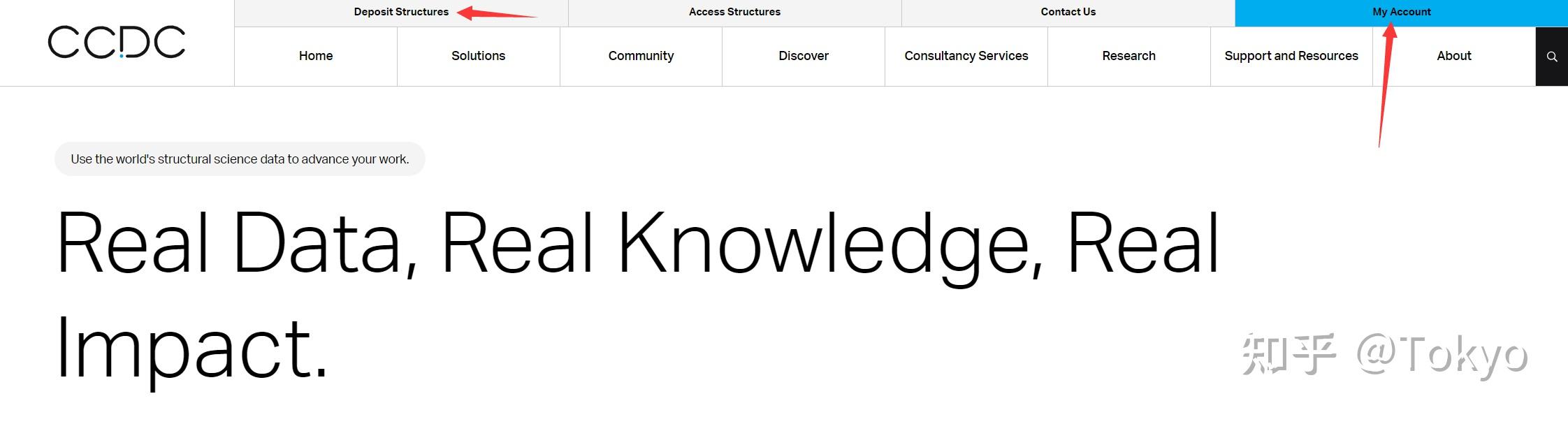 CCDC号申请全流程详解 - 知乎