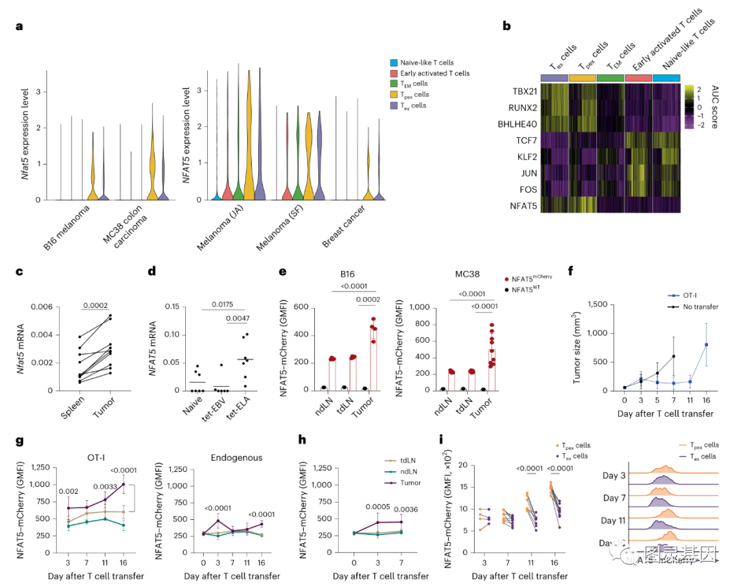 Nat Immu | 耶鲁医学院发现癌症和感染引起的T细胞耗竭完全不同 - 知乎