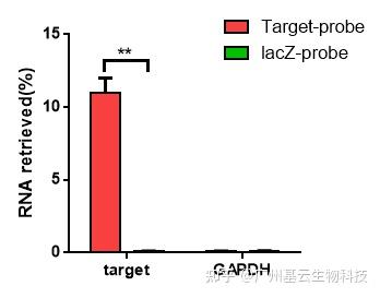 CHIRP实验详细操作指南，一看就会 - 知乎