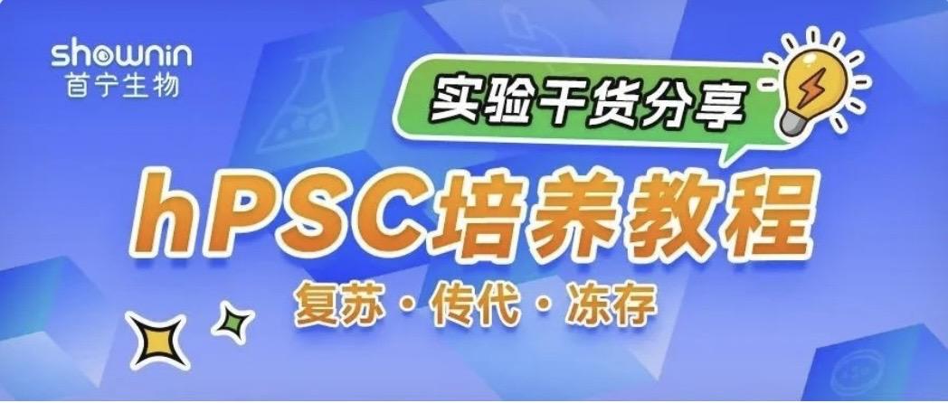 hPSC综合培养教程！！看这篇就够了 - 知乎