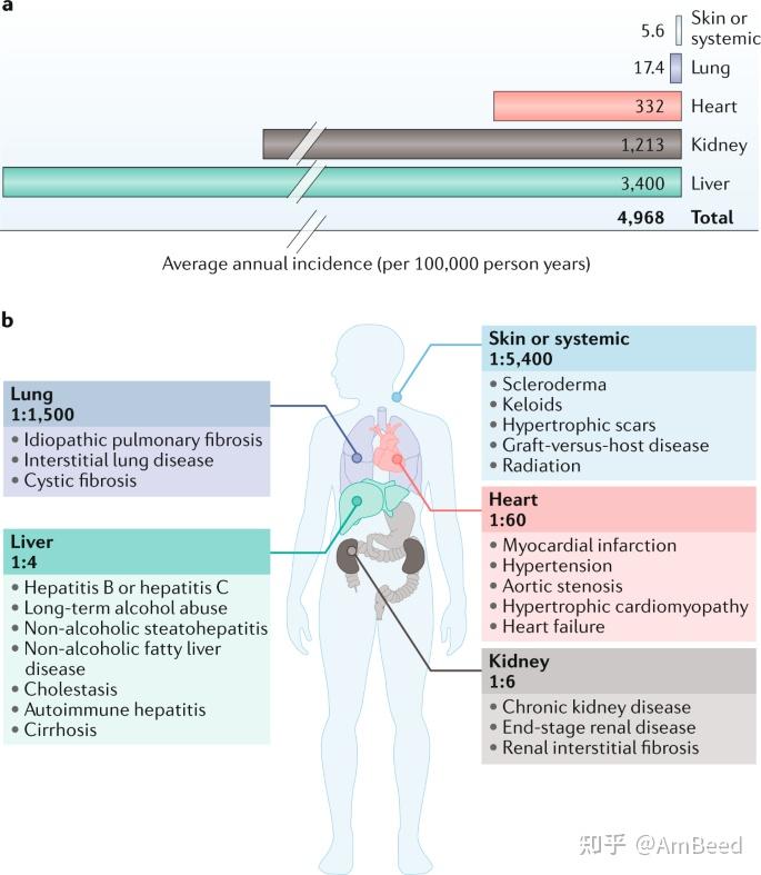 【AmBeed解读】揭秘JNK信号通路：作用机制与抑制剂探索 - 知乎