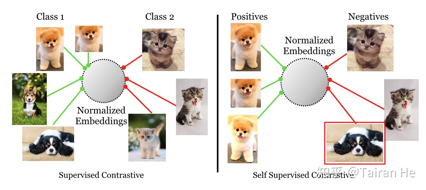 【论文笔记 1】Supervised Contrastive Learning - 知乎