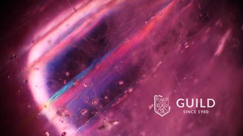 一分钟读懂GUILD证书 - 知乎