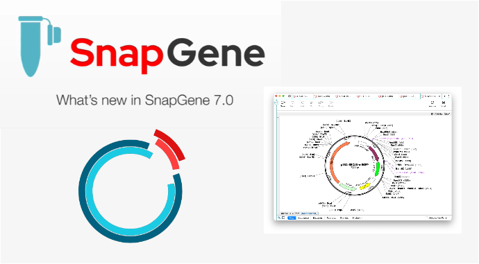SnapGene 7.0已正式发布! - 知乎