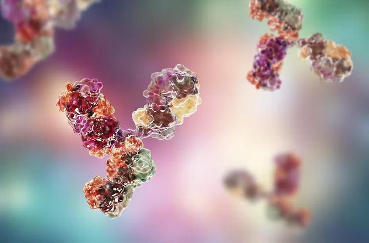 新技术加速抗体研发｜Genentech四价双表位抗体实现TNFRSF内在激动活性 - 知乎