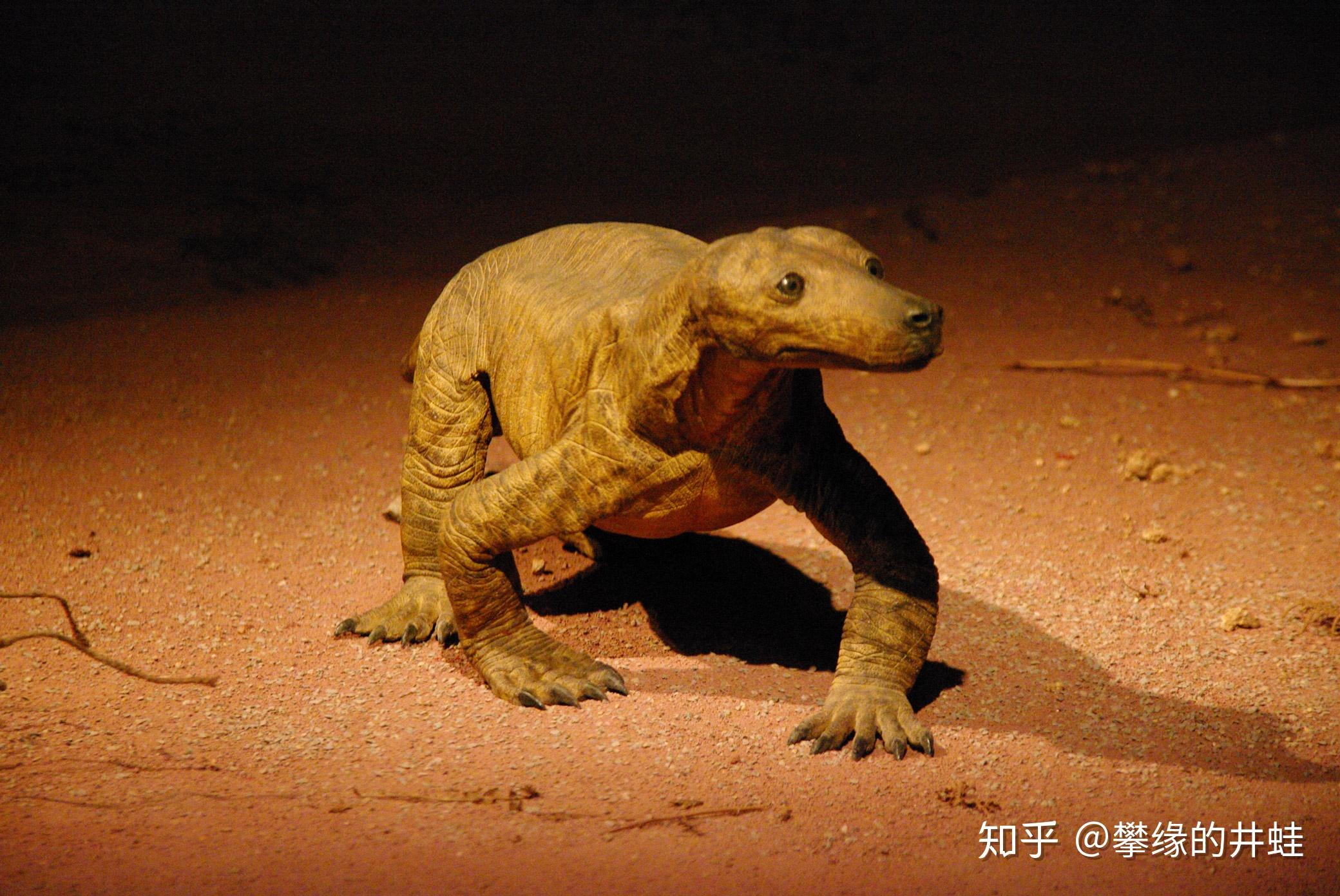 【地球演义】百兽图7：赶狻猊 - 知乎