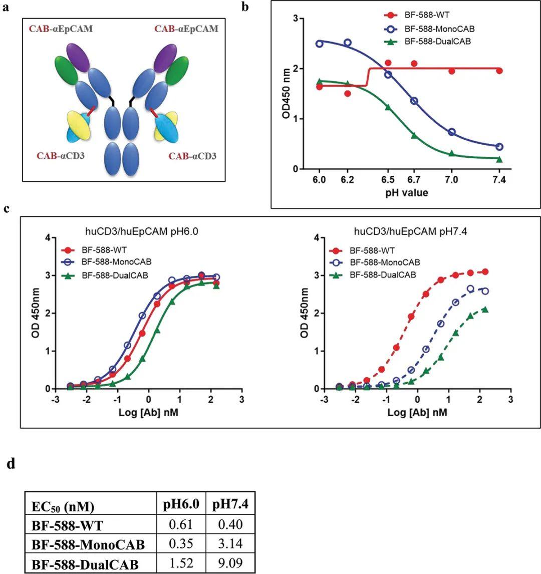 BioAtla条件性pH激活抗 EpCAM x CD3 双特异性抗体设计 - 知乎