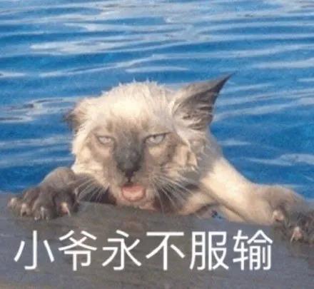 StreamSaver.js入门教程：优雅解决前端下载文件的难题 - 知乎