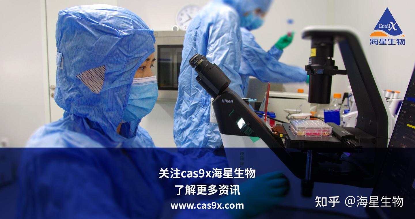 养好293T细胞的培养攻略 - 知乎