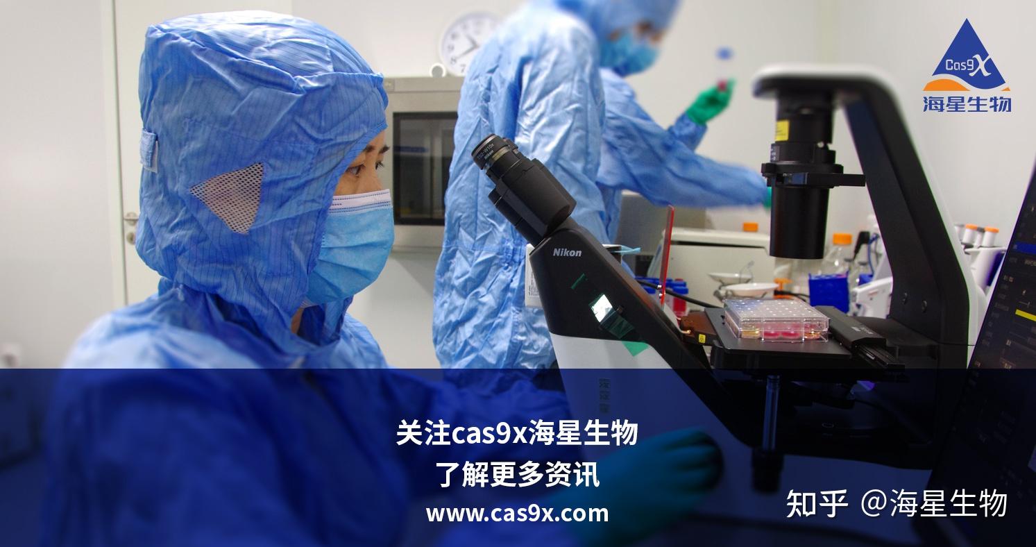 养好293T细胞的培养攻略 - 知乎