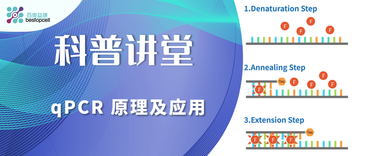 科普讲堂 | 带你学习qPCR原理及应用！ - 知乎