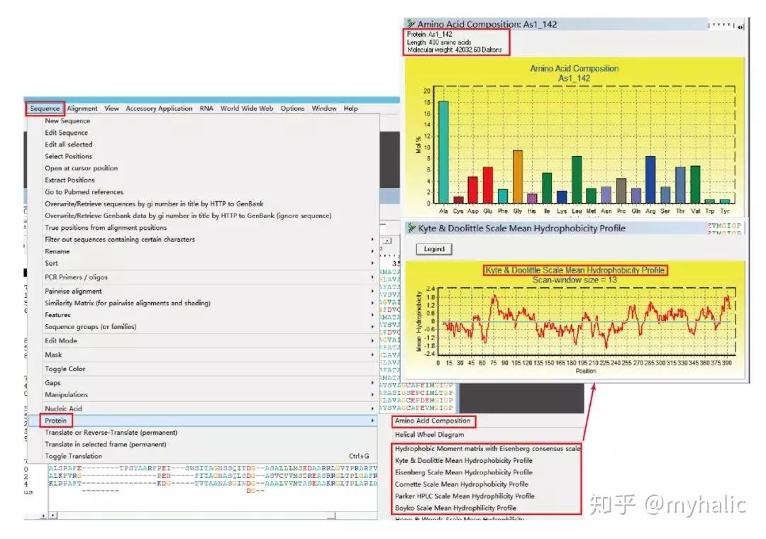 干货 | 当 BioEdit 遇上 Excel ，批量处理序列不用愁！ - 知乎