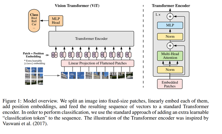 论文笔记(六) Vision Transformer & Masked Autoencoder - 知乎